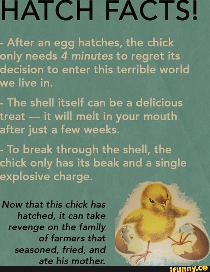 Hatches memes. Best Collection of funny Hatches pictures on iFunny