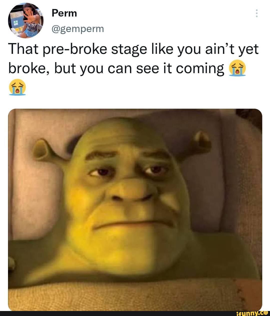 Perm @gemperm That pre-broke stage like you ain't yet broke, but you ...