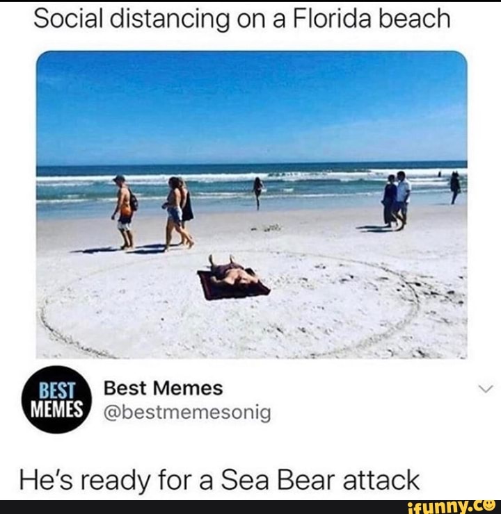 Social distancing on a Florida beach He's ready for a Sea Bear attack ...