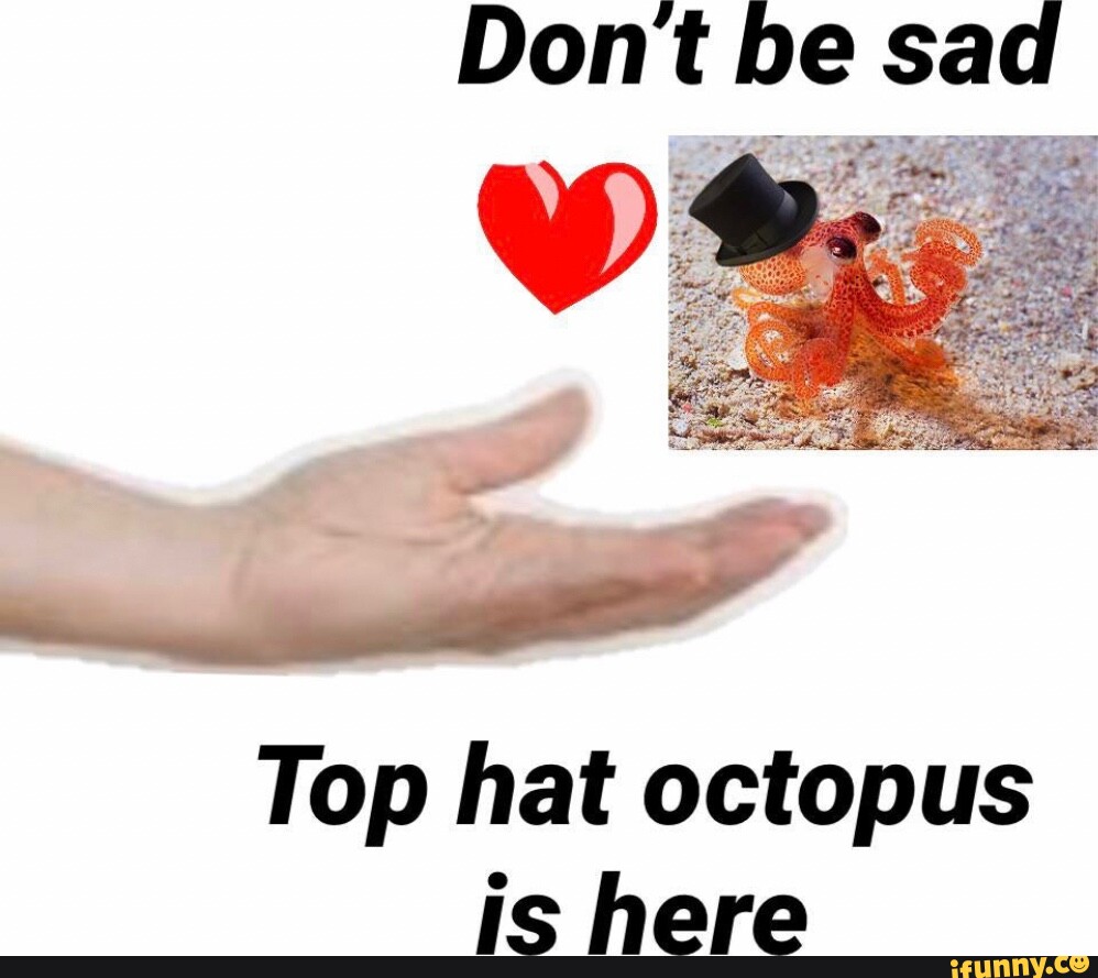 Octopus memes. Best Collection of funny Octopus pictures on iFunny