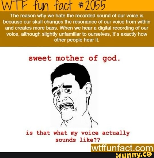 Nickiitheboss on Instagram: “What’s your favorite snack ?😘” - iFunny