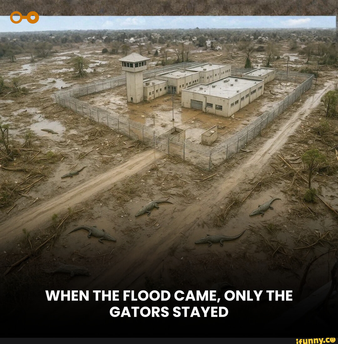 Tropical Storm Rex floods South Florida’s Alligator Alcatraz prison ...