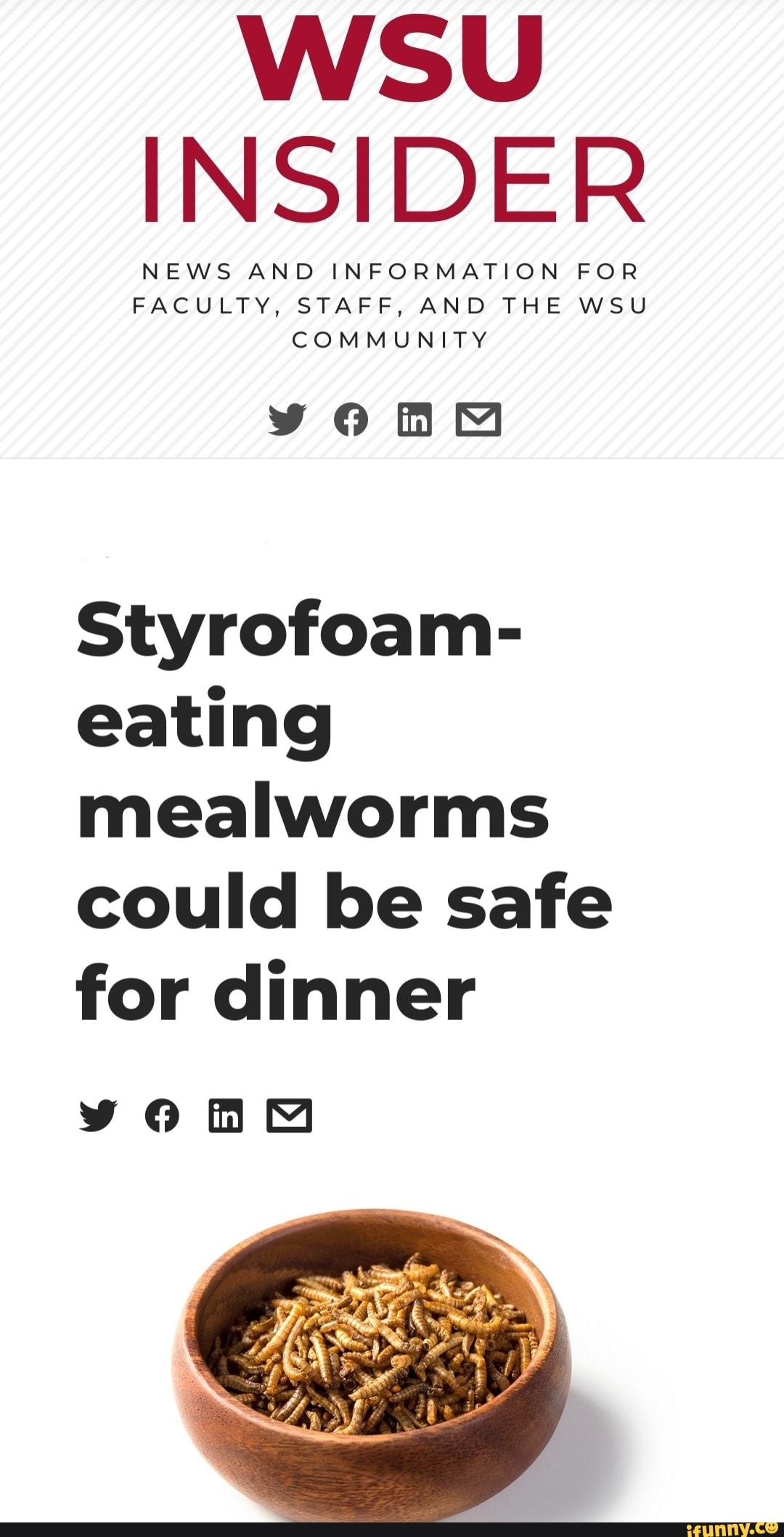 Wsu memes. Best Collection of funny Wsu pictures on iFunny