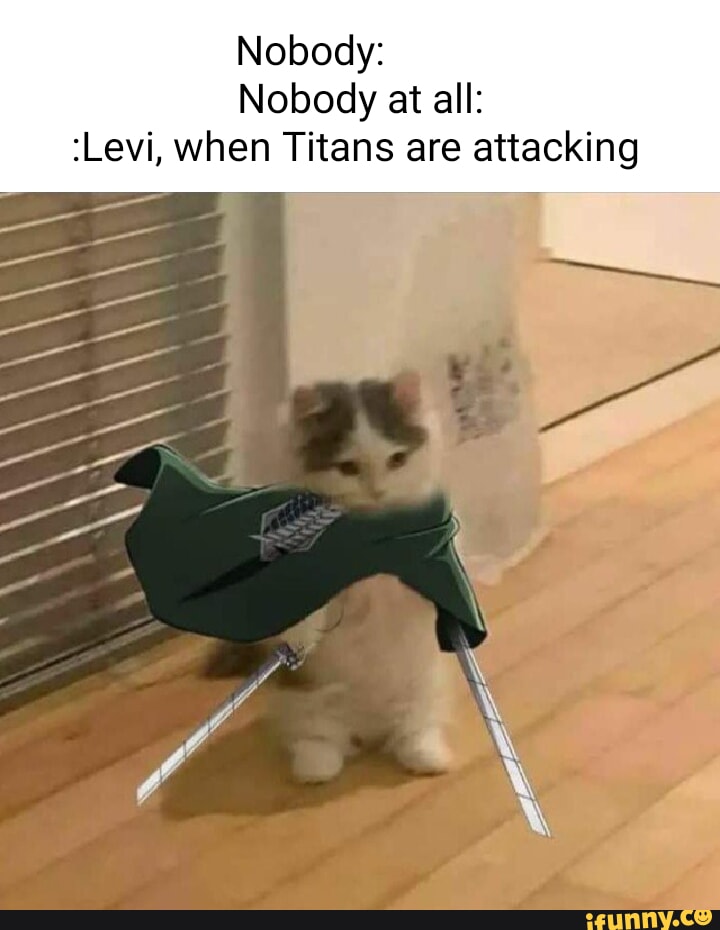 Levi memes. Best Collection of funny Levi pictures on iFunny