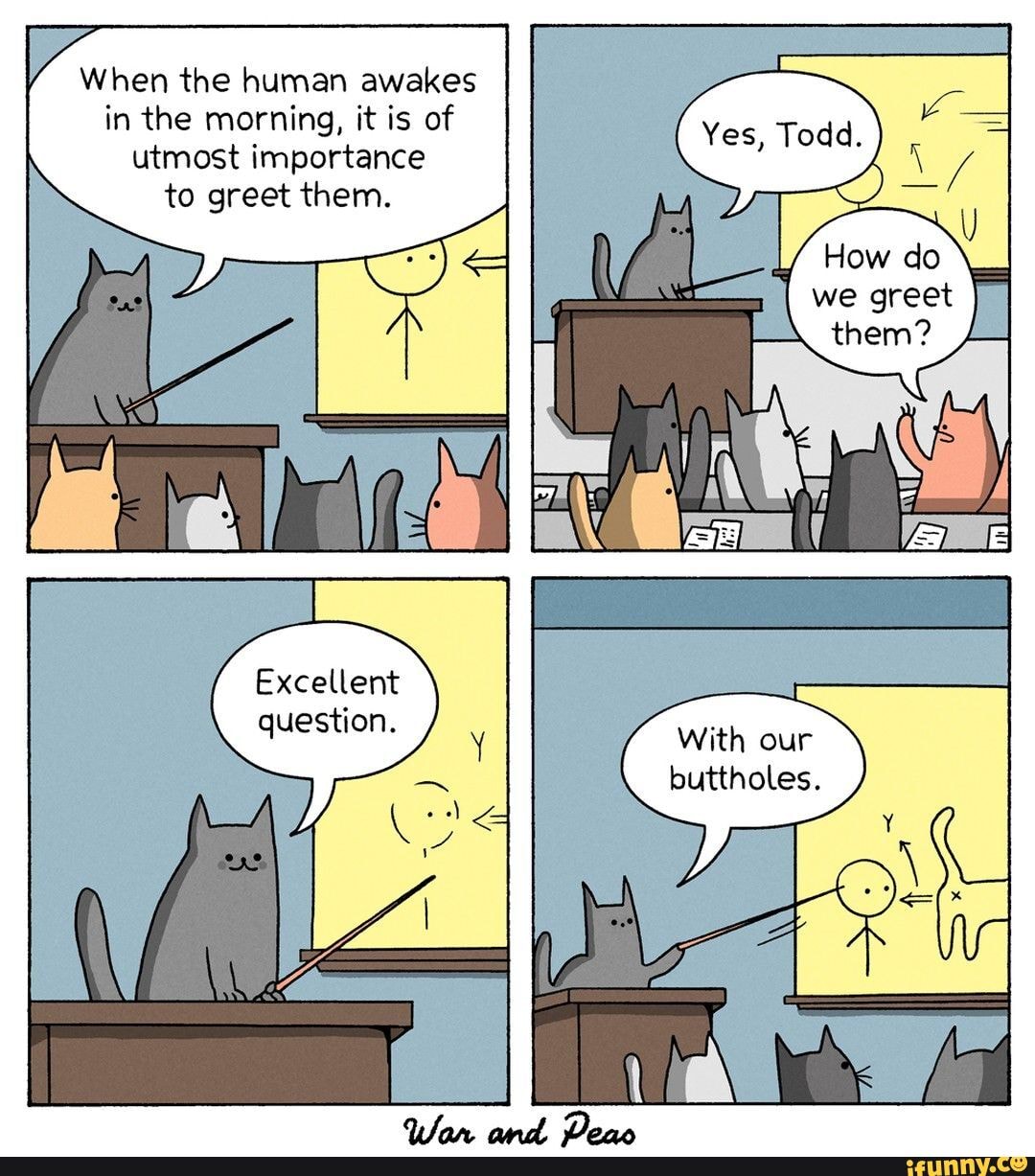 Tedd memes. Best Collection of funny Tedd pictures on iFunny