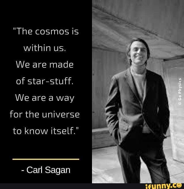 "The cosmos is within us. \We are made of star-stuff. We are away for ...