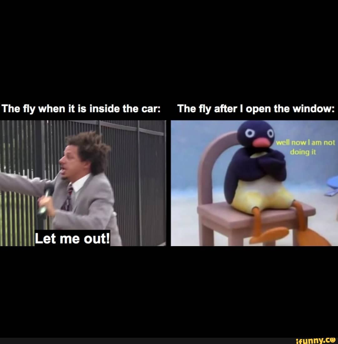 The fly when it is inside the car: The fly after I open the window: Let ...