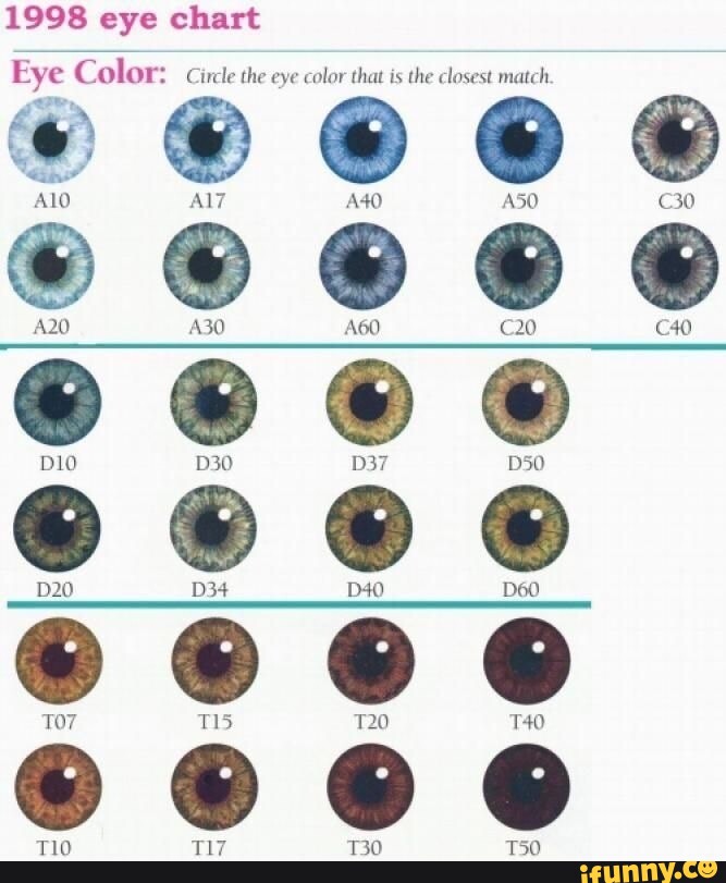 1998 eye chart Eye Color: Circle the eye color that is the closest ...