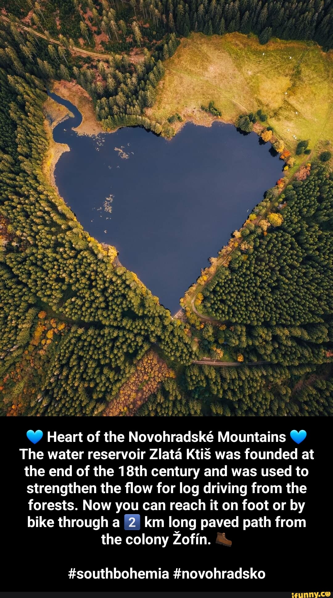 Zlata memes. Best Collection of funny Zlata pictures on iFunny