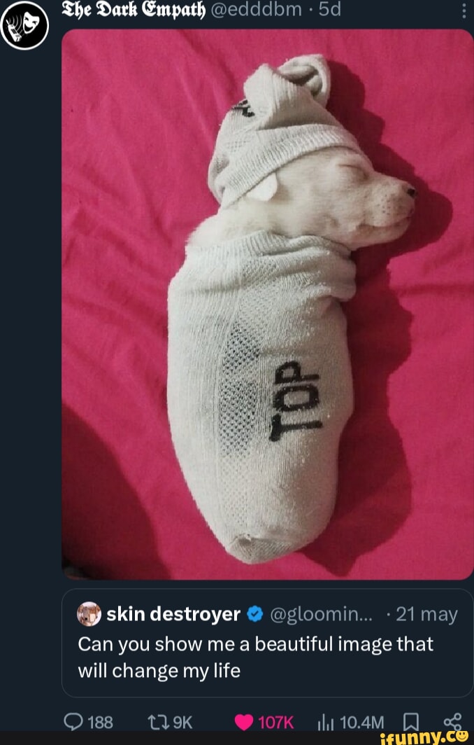 Destroyer memes. Best Collection of funny Destroyer pictures on iFunny