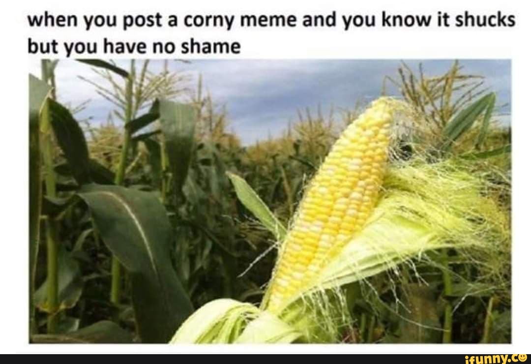 When you post a corny meme and you know it shucks but you have no shame Í - iFunny