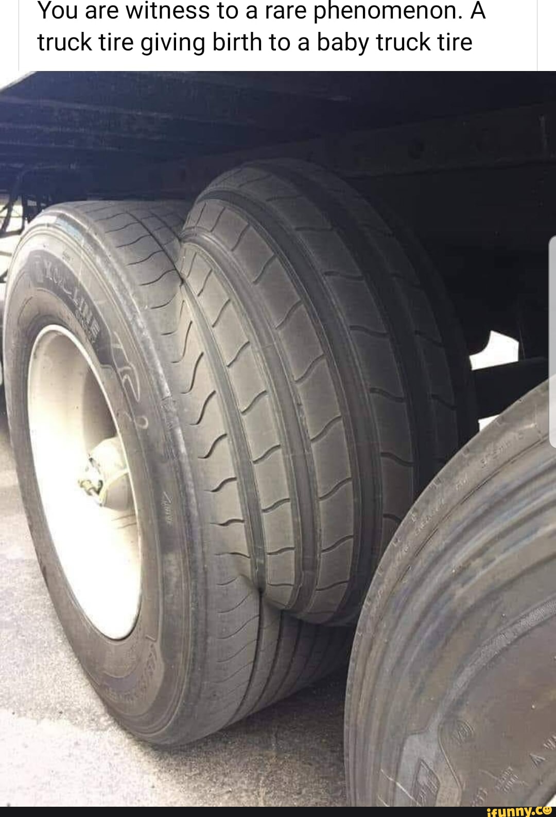 You are witness to a rare phenomenon. A truck tire giving birth to a ...
