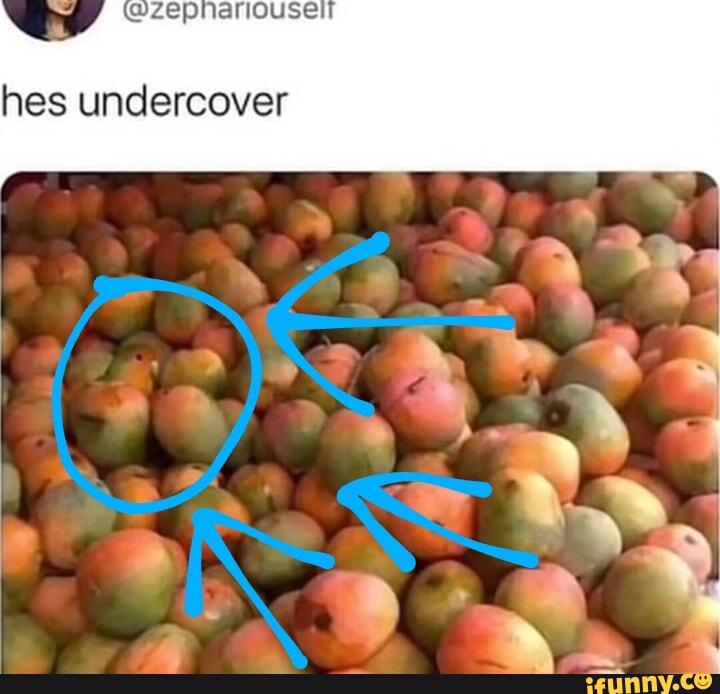 Undercover memes. Best Collection of funny Undercover pictures on iFunny