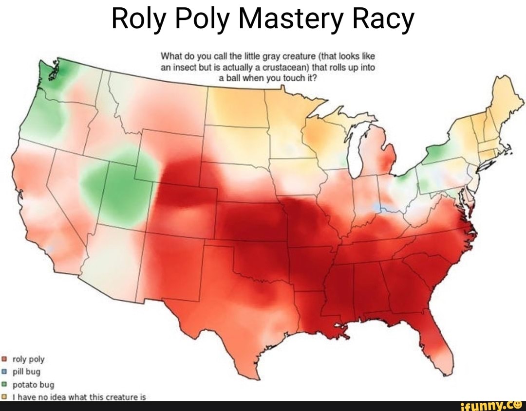 Oaaes Roly Poly Mastery Racy What do you call the little gray creature ...