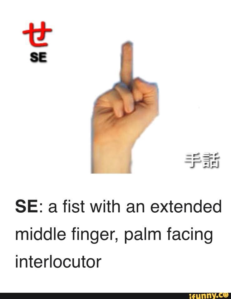 SE: a fist with an extended middle finger, palm facing interlocutor ...