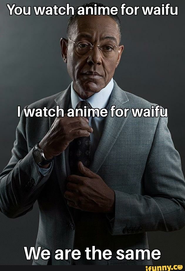You watch anime for waifu I watch anime for waifu aN We are the same ...