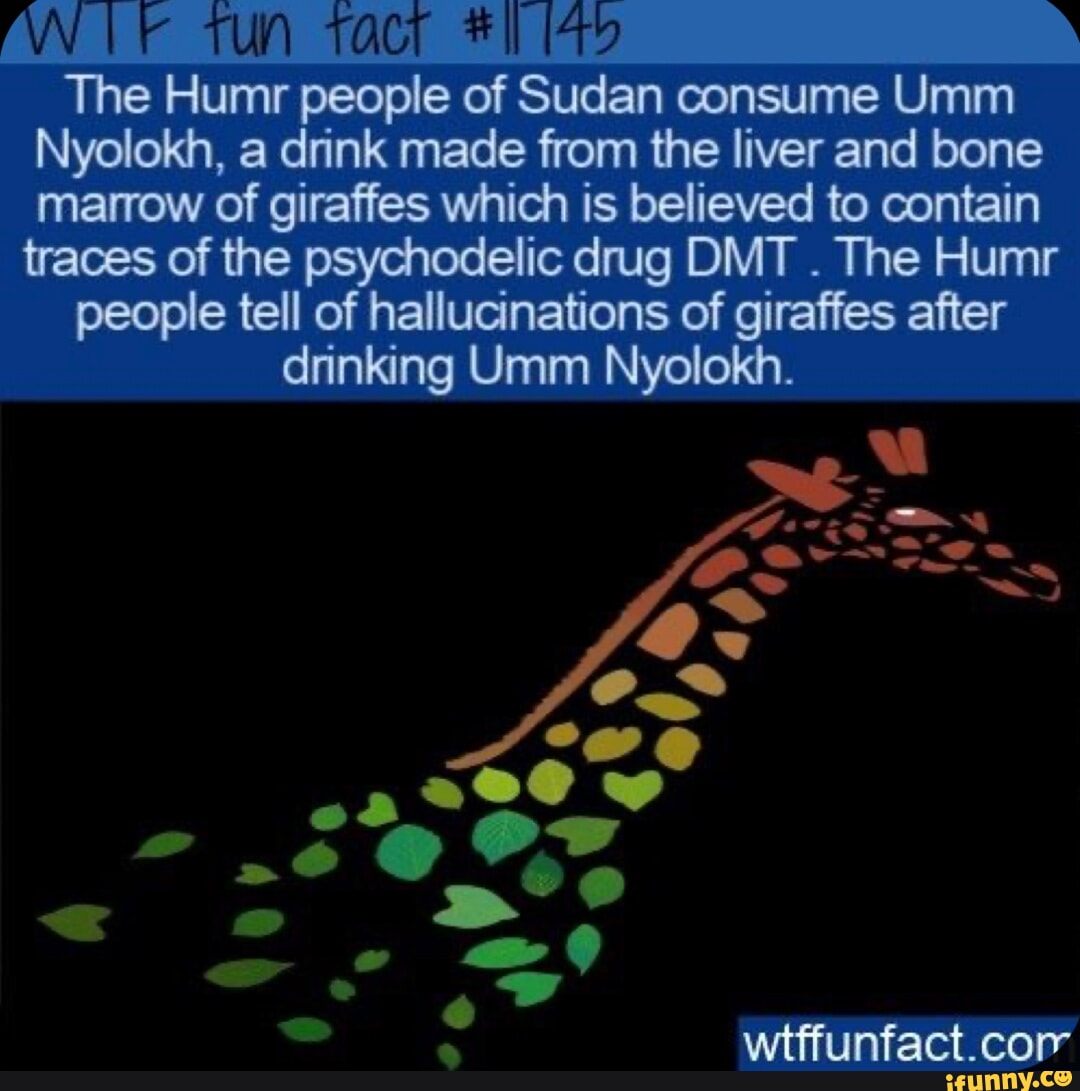 Un The Humr people of Sudan consume Umm Nyolokh, a drink made from the ...