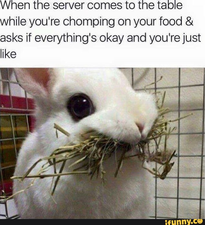 Chomping memes. Best Collection of funny Chomping pictures on iFunny