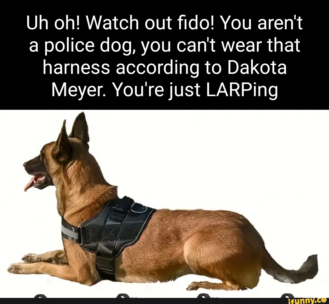 Fido memes. Best Collection of funny Fido pictures on iFunny