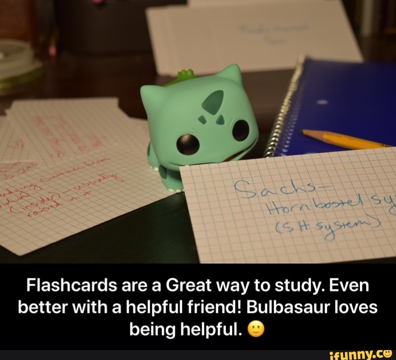 Flashcards are a Great way to study. Even better with a helpful friend ...