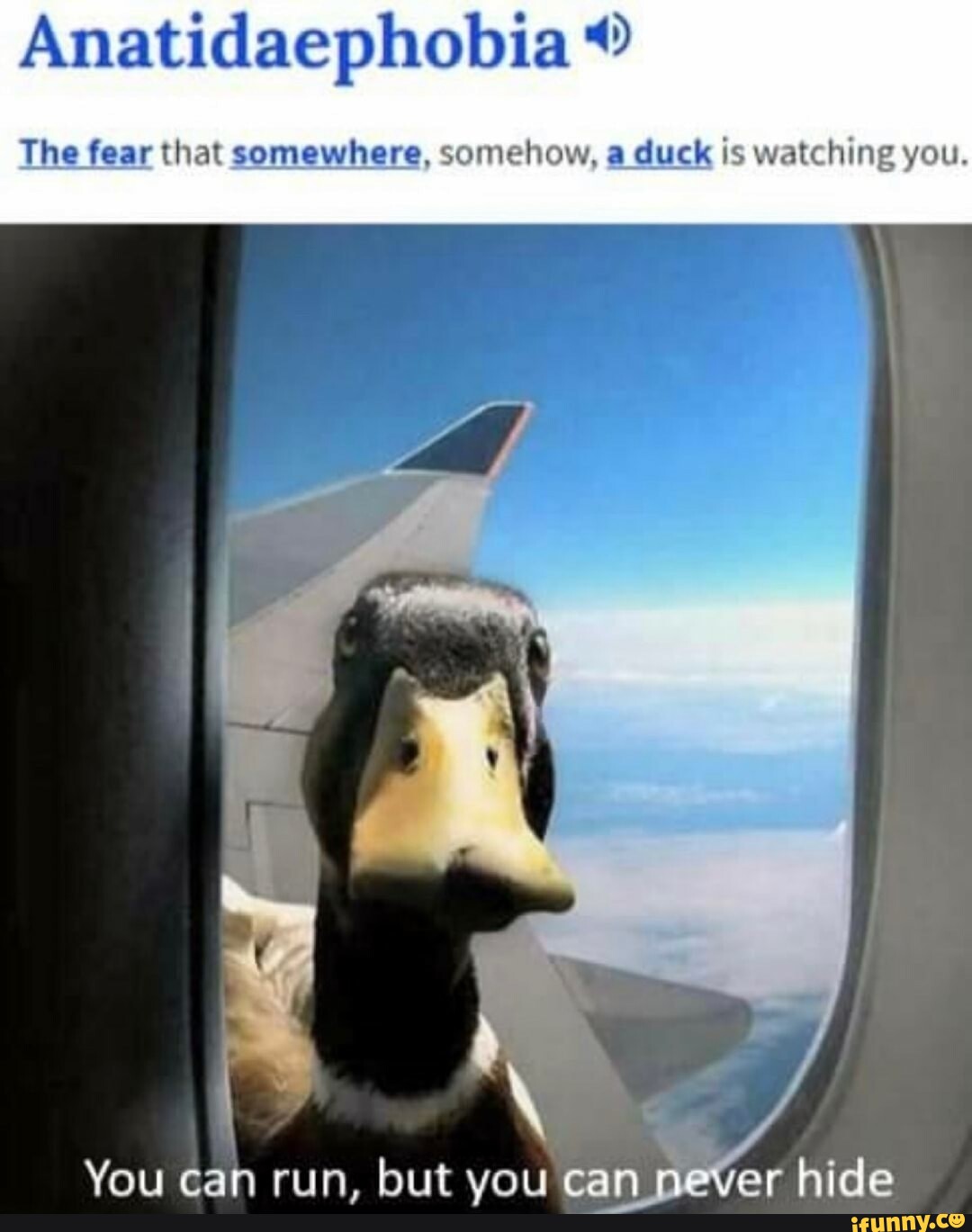 Anatidaephobia The fear that somewhere, somehow, duck is watching you ...