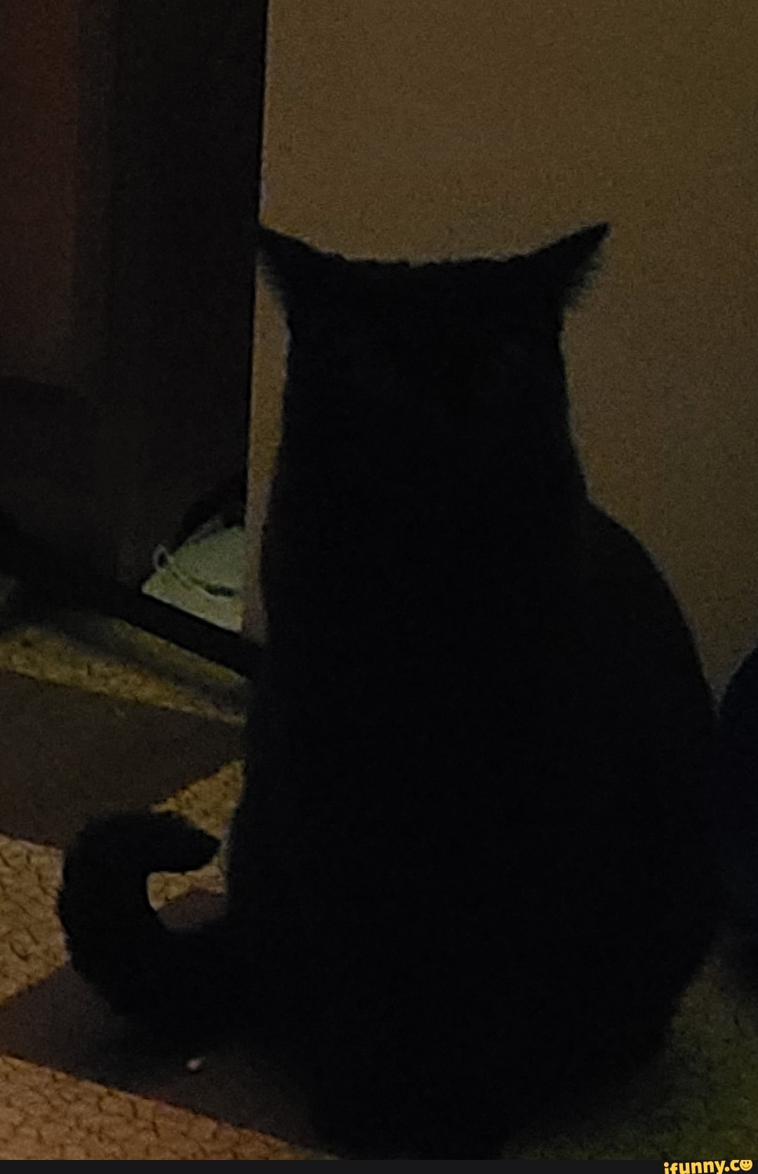 Hilarious Derp Memes