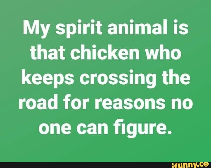 My spirit animal is that chicken who keeps crossing the road for ...