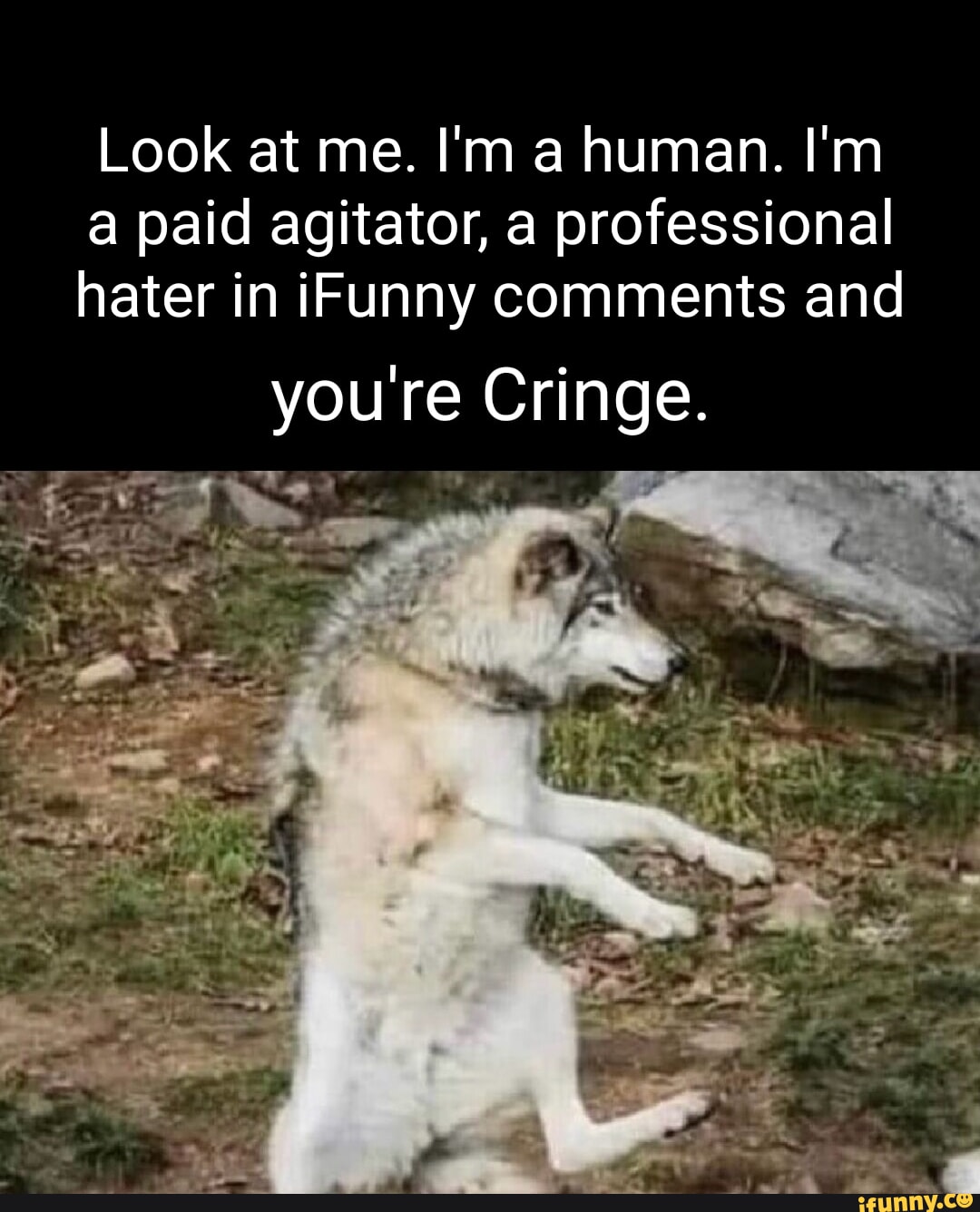 Agitator memes. Best Collection of funny Agitator pictures on iFunny