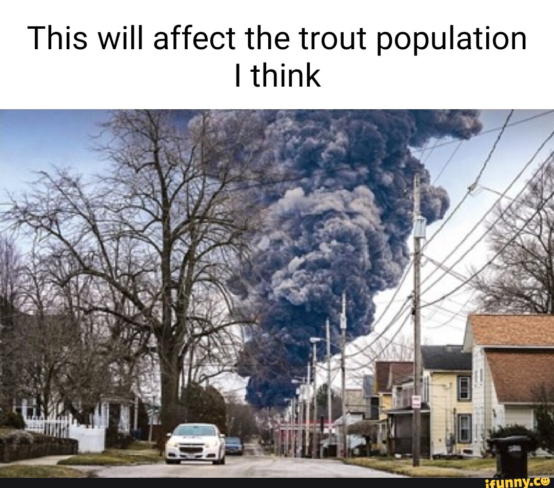 This will affect the trout population I think - iFunny