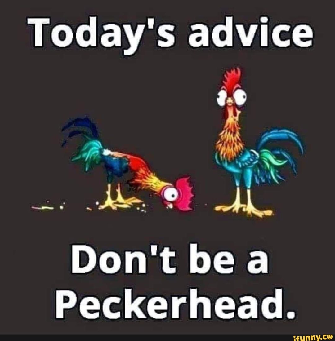 Peckerhead memes. Best Collection of funny Peckerhead pictures on iFunny