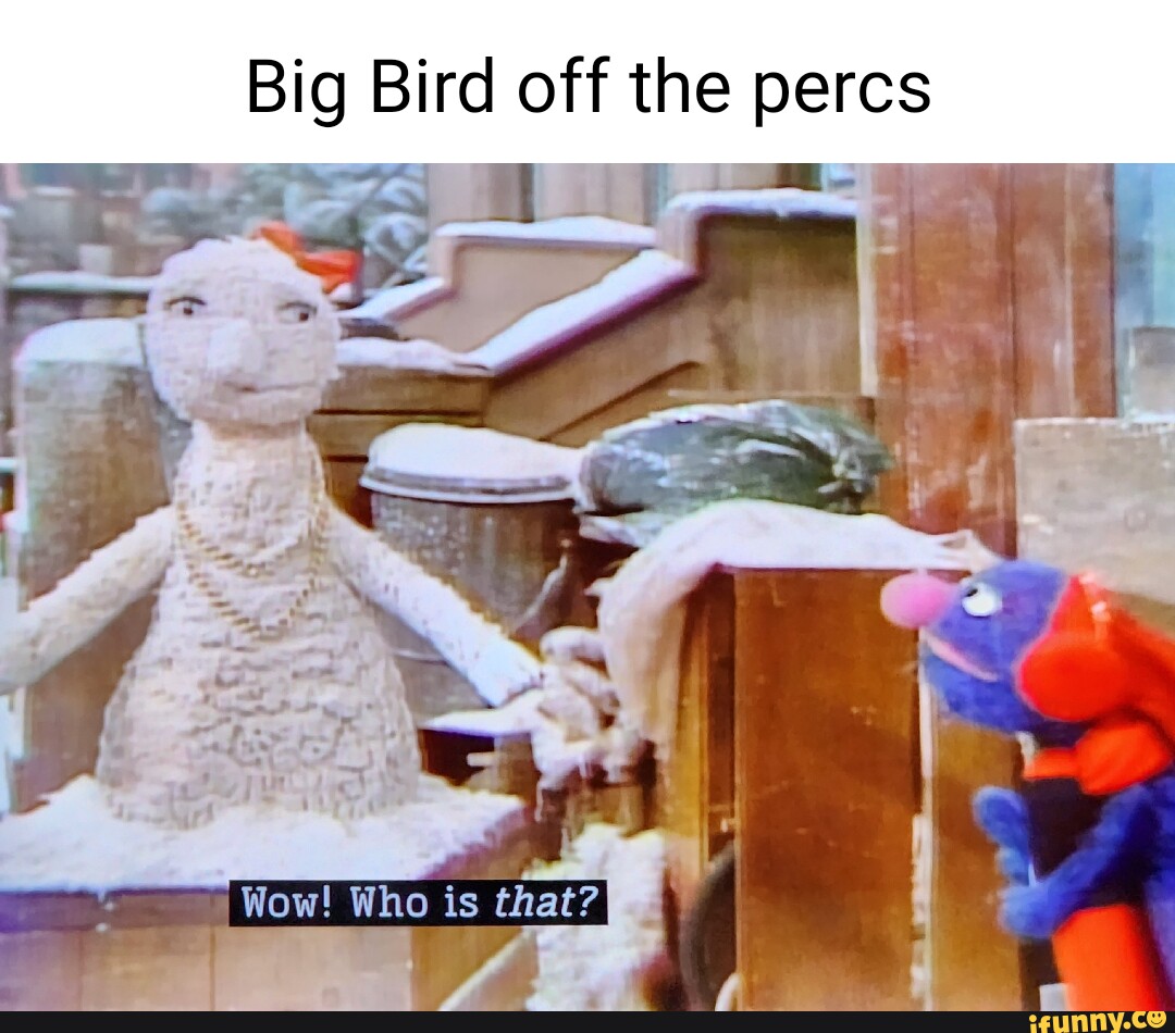 Big Bird off the percs ~/Wow! Who is I I I - iFunny
