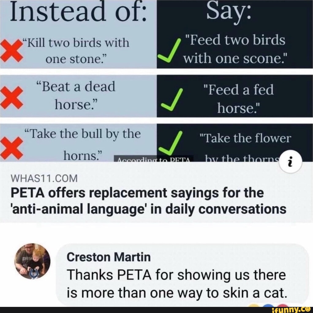 Scone memes. Best Collection of funny Scone pictures on iFunny