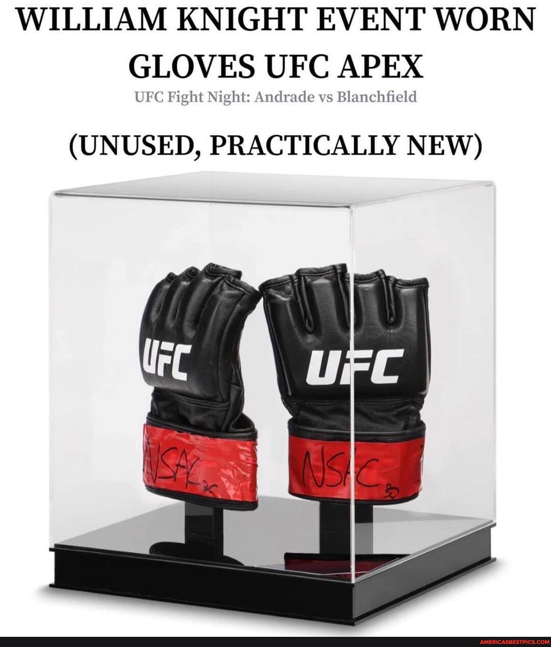 🤣🤣 - WILLIAM KNIGHT EVENT WORN GLOVES UFC APEX Fight Nights vs (UNUSED ...