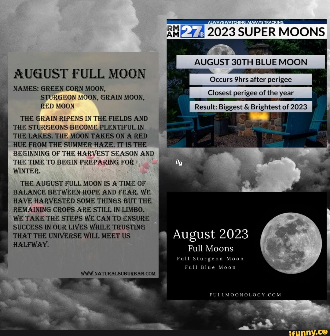 Sturgeons memes. Best Collection of funny Sturgeons pictures on iFunny