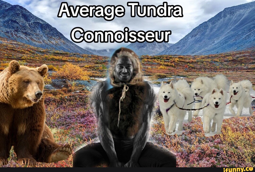 Tundra memes. Best Collection of funny Tundra pictures on iFunny