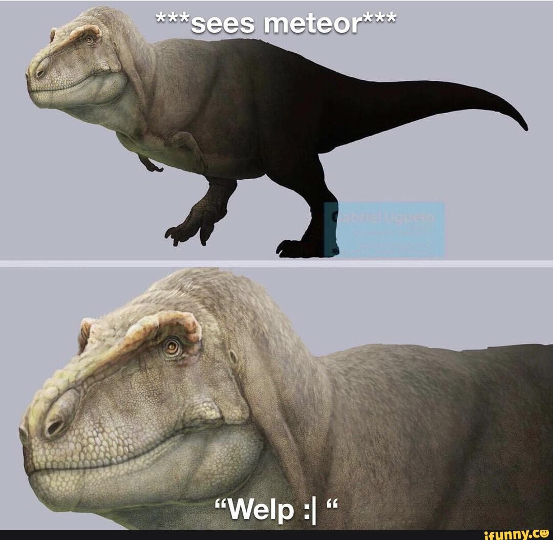 Walp memes. Best Collection of funny Walp pictures on iFunny