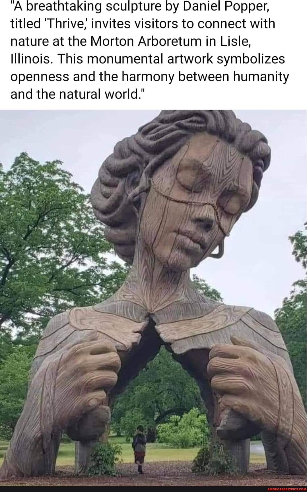 'A breathtaking sculpture by Daniel Popper, titled 'Thrive; invites ...