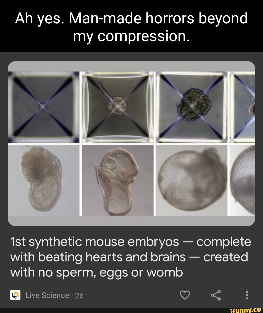 Ah yes. Man-made horrors beyond my compression. ist synthetic mouse ...
