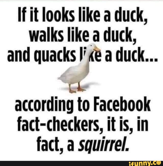 Quacks memes. Best Collection of funny Quacks pictures on iFunny