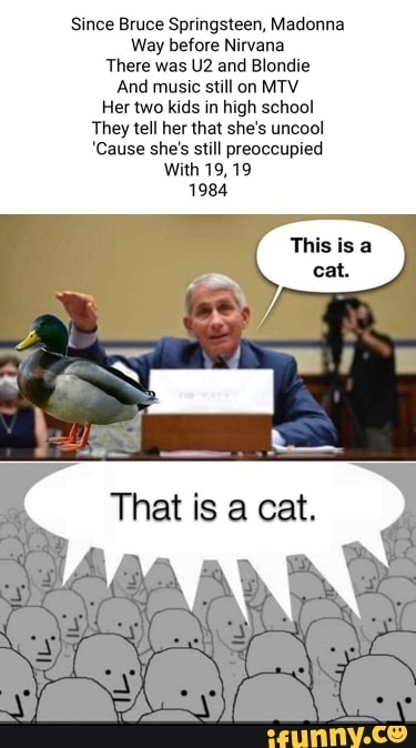 Springsteen memes. Best Collection of funny Springsteen pictures on iFunny