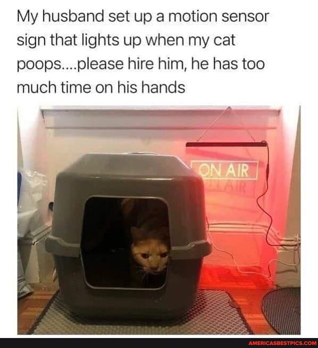 My husband set up a motion sensor sign that lights up when my cat poops ...