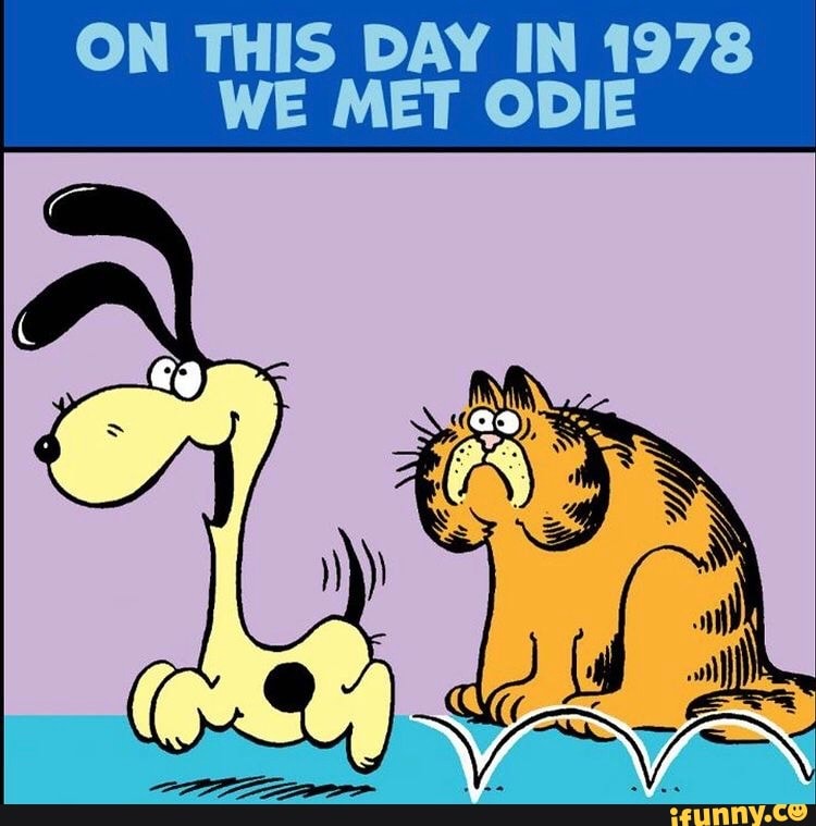 Odie memes. Best Collection of funny Odie pictures on iFunny