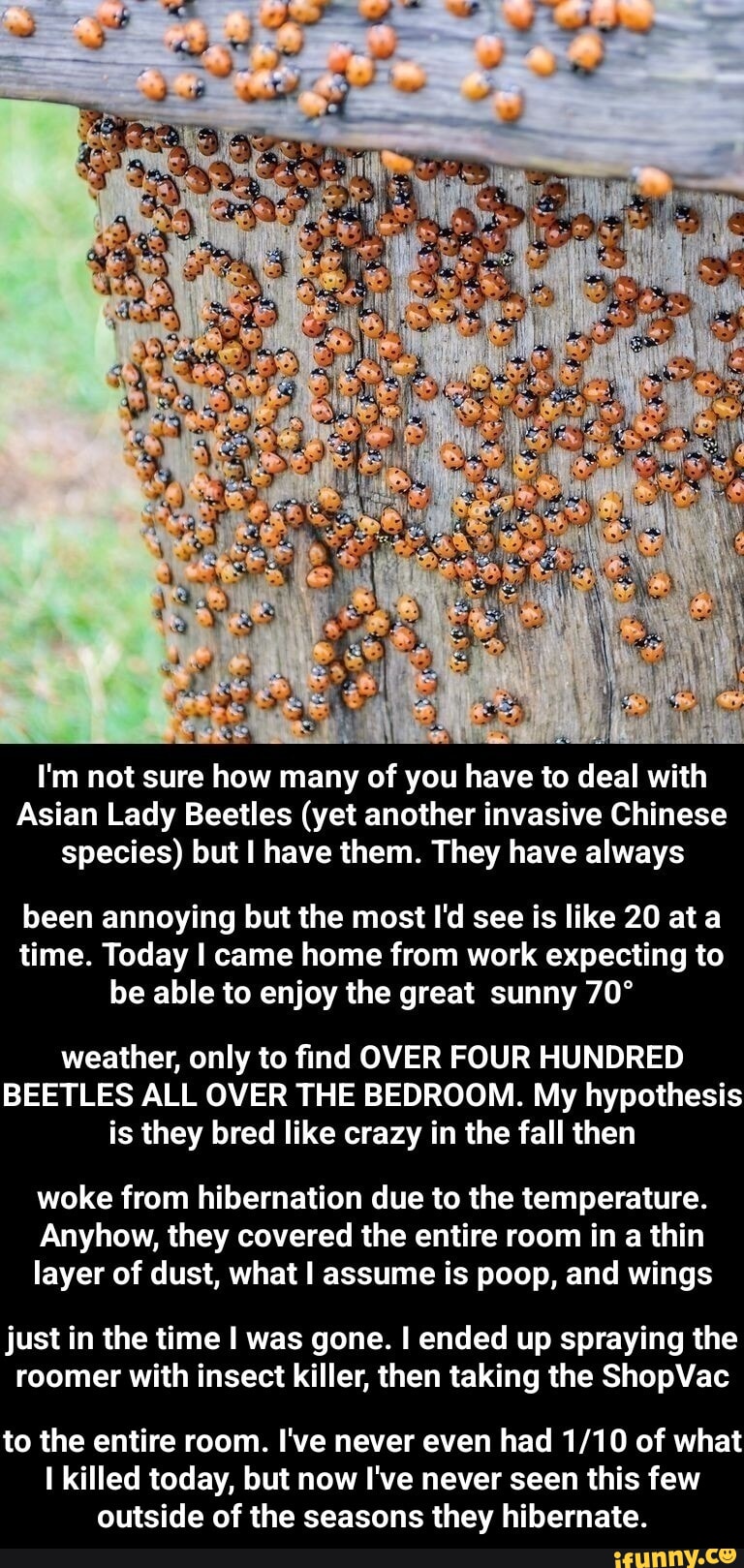 Invasive memes. Best Collection of funny Invasive pictures on iFunny