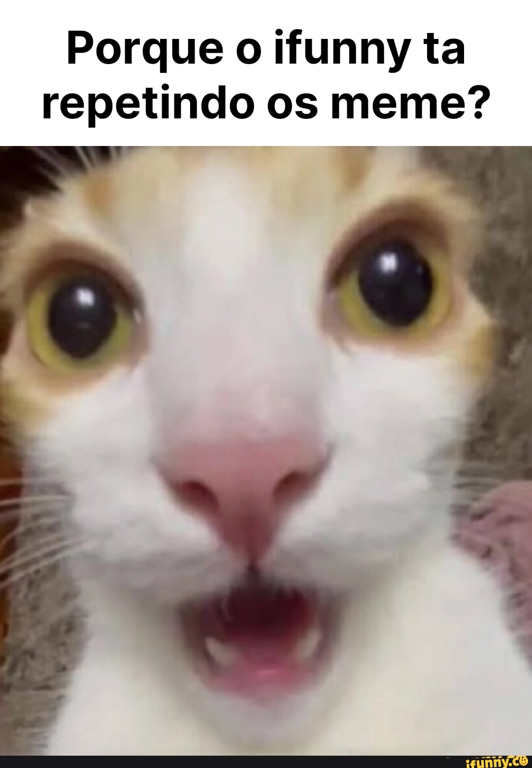 Porque o ifunny ta repetindo os meme? - iFunny