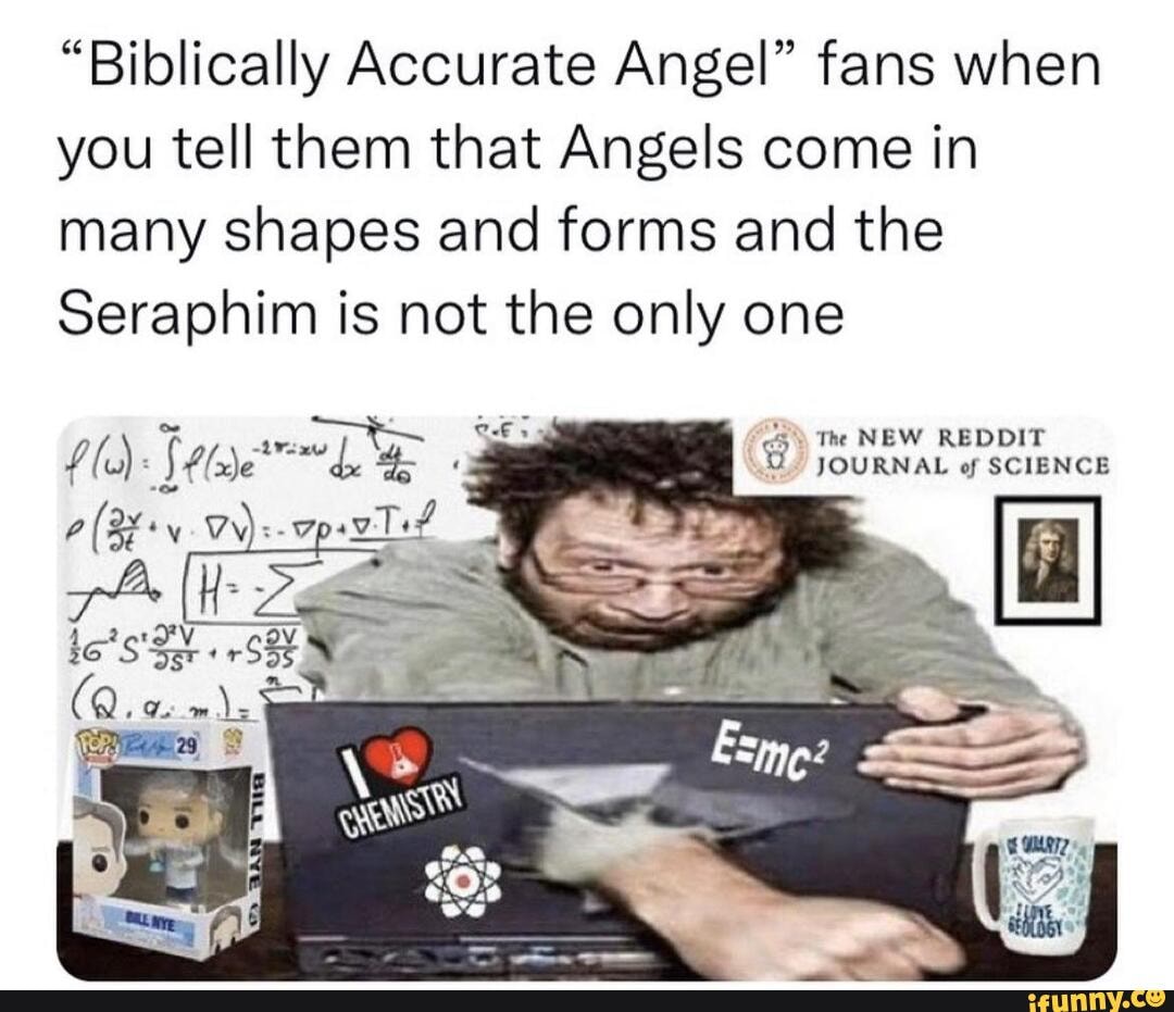 "Biblically Accurate Angel" fans when you tell them that Angels come in ...