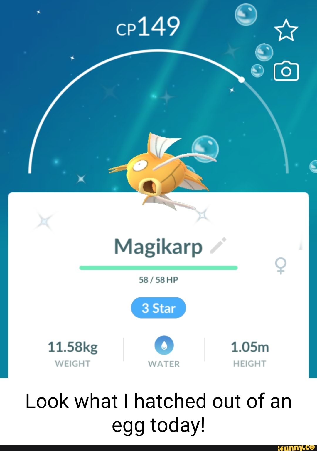 Magikarp memes. Best Collection of funny Magikarp pictures on iFunny