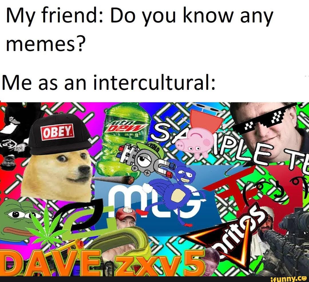 My friend: Do you know any memes? Me as an intercultural: - iFunny