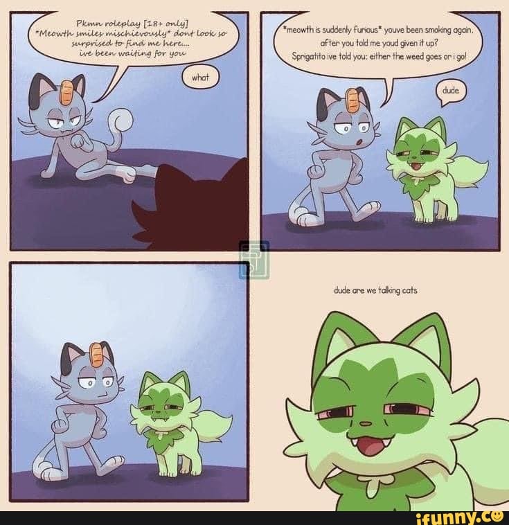 Cots memes. Best Collection of funny Cots pictures on iFunny