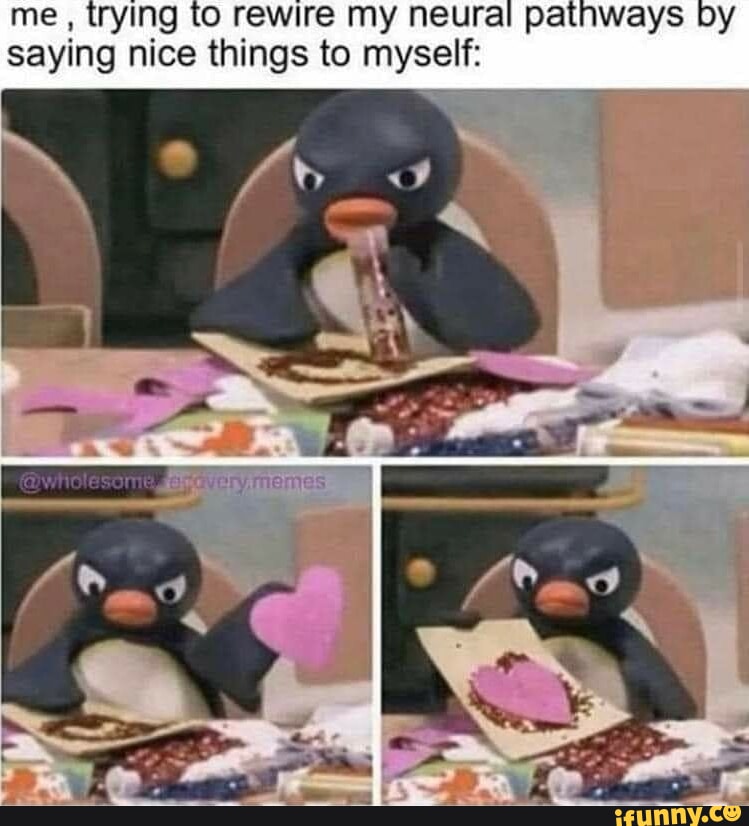 Me, trying to rewire my neural pathways by saying nice things to myself ...