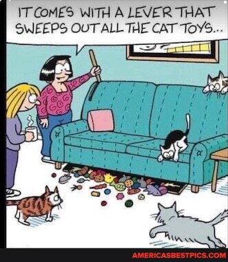 COMES WITH A LEVER THAT SWEEPS OUT ALL THE CAT ToYS... - America’s best ...
